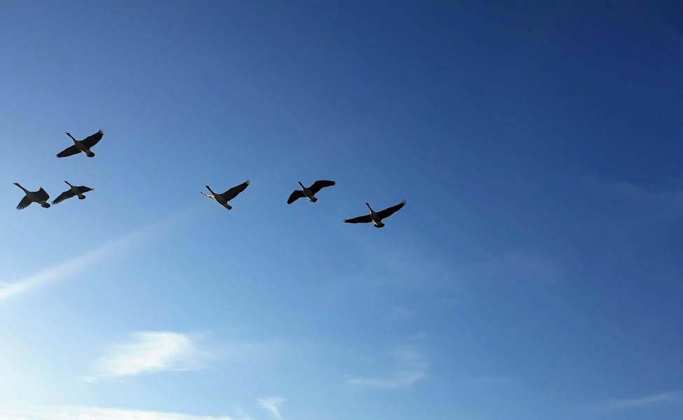 Borderless – An exploration of a world beyond borders…