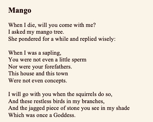 Mango – Borderless