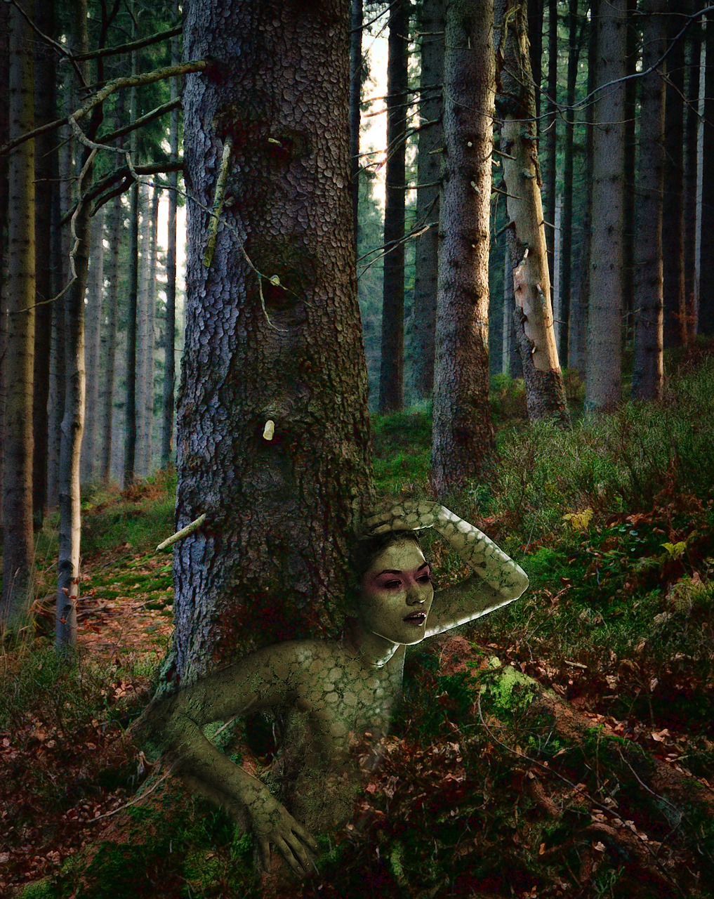 The Dryad and I: A Confession and a Forecast – Borderless