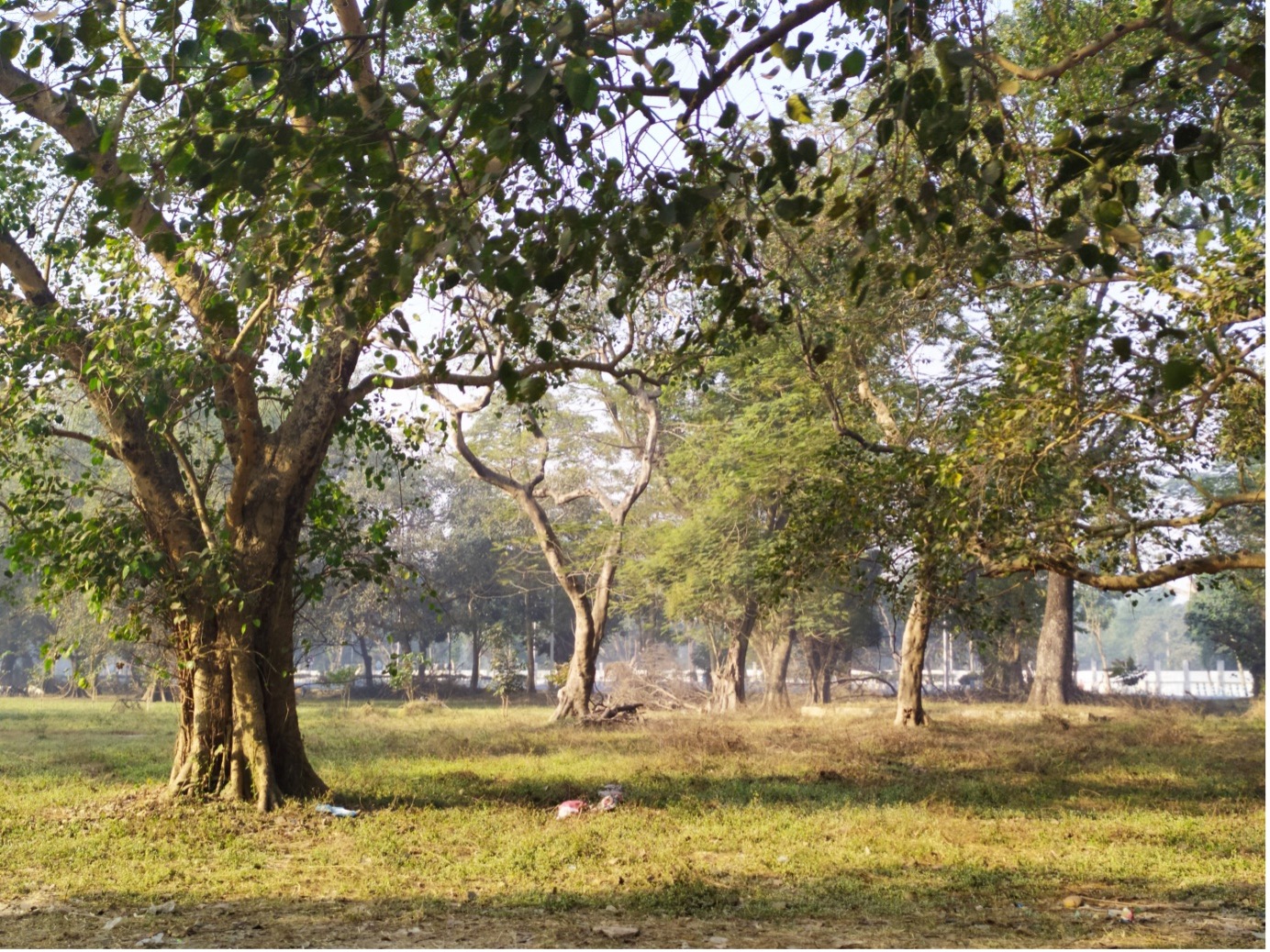 A Stroll through Kolkata’s Iconic Maidan – Borderless