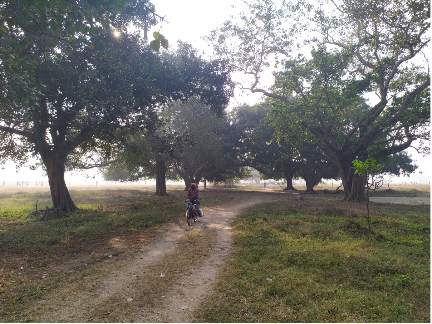 A Stroll through Kolkata’s Iconic Maidan – Borderless
