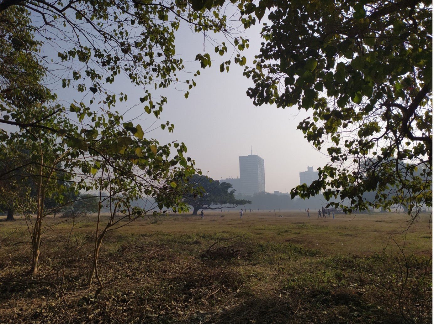 A Stroll through Kolkata’s Iconic Maidan – Borderless