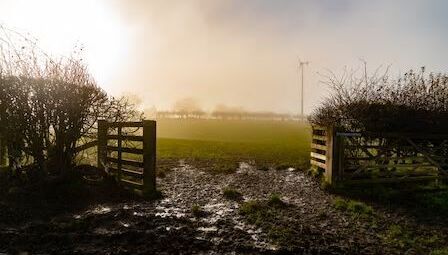 Prairie Poems – Borderless