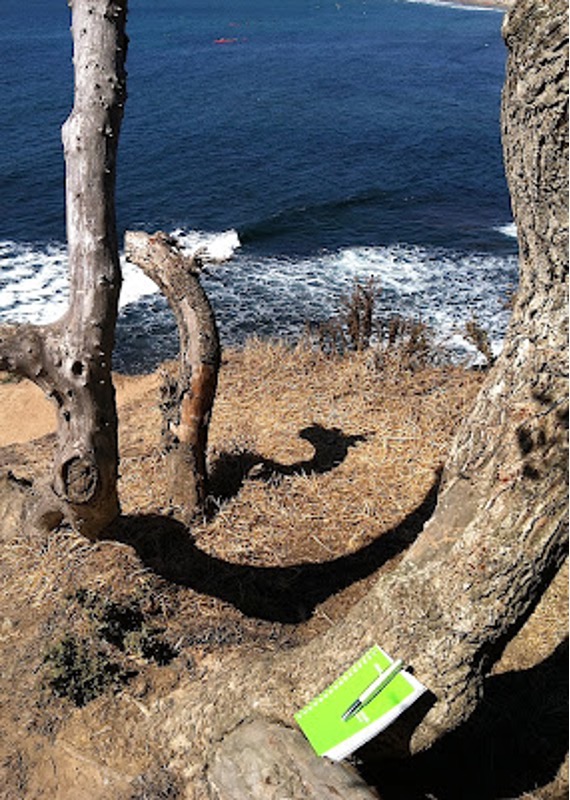 Sun, Seas & Flowers – Borderless