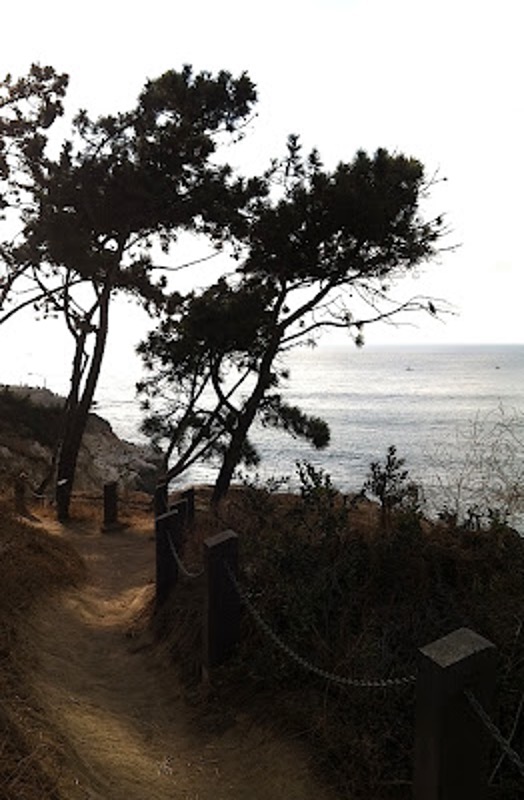 Sun, Seas & Flowers – Borderless