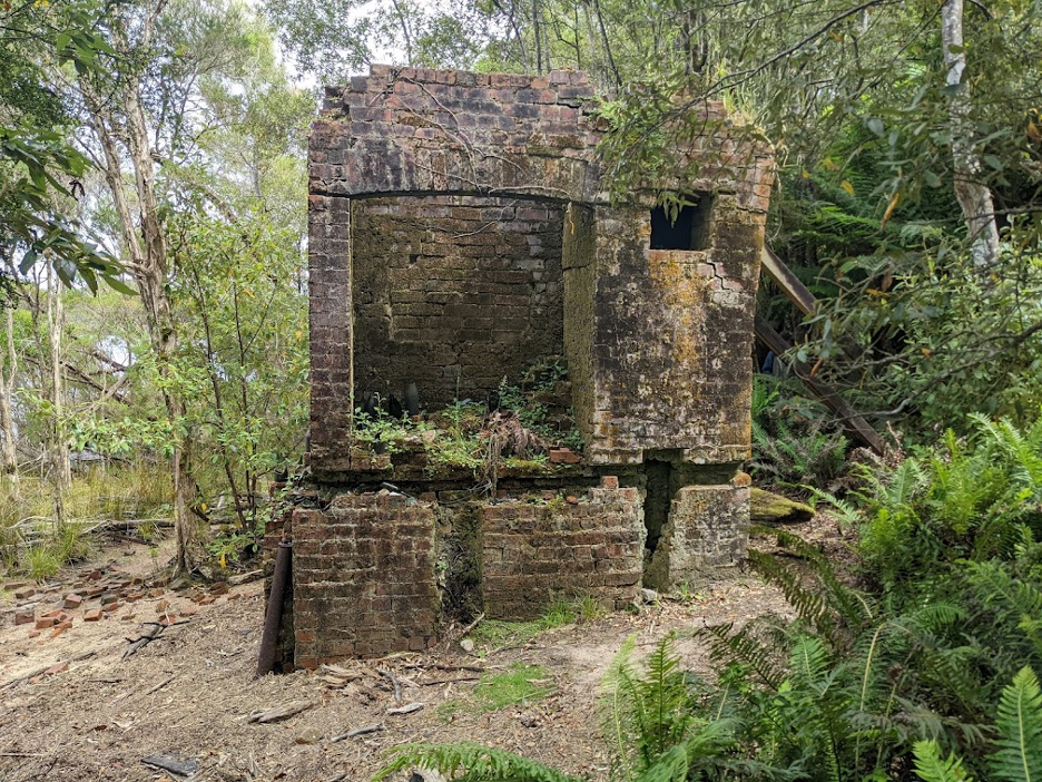 A Tasmanian Adventure: Bushwhacking in East Pillinger – Borderless