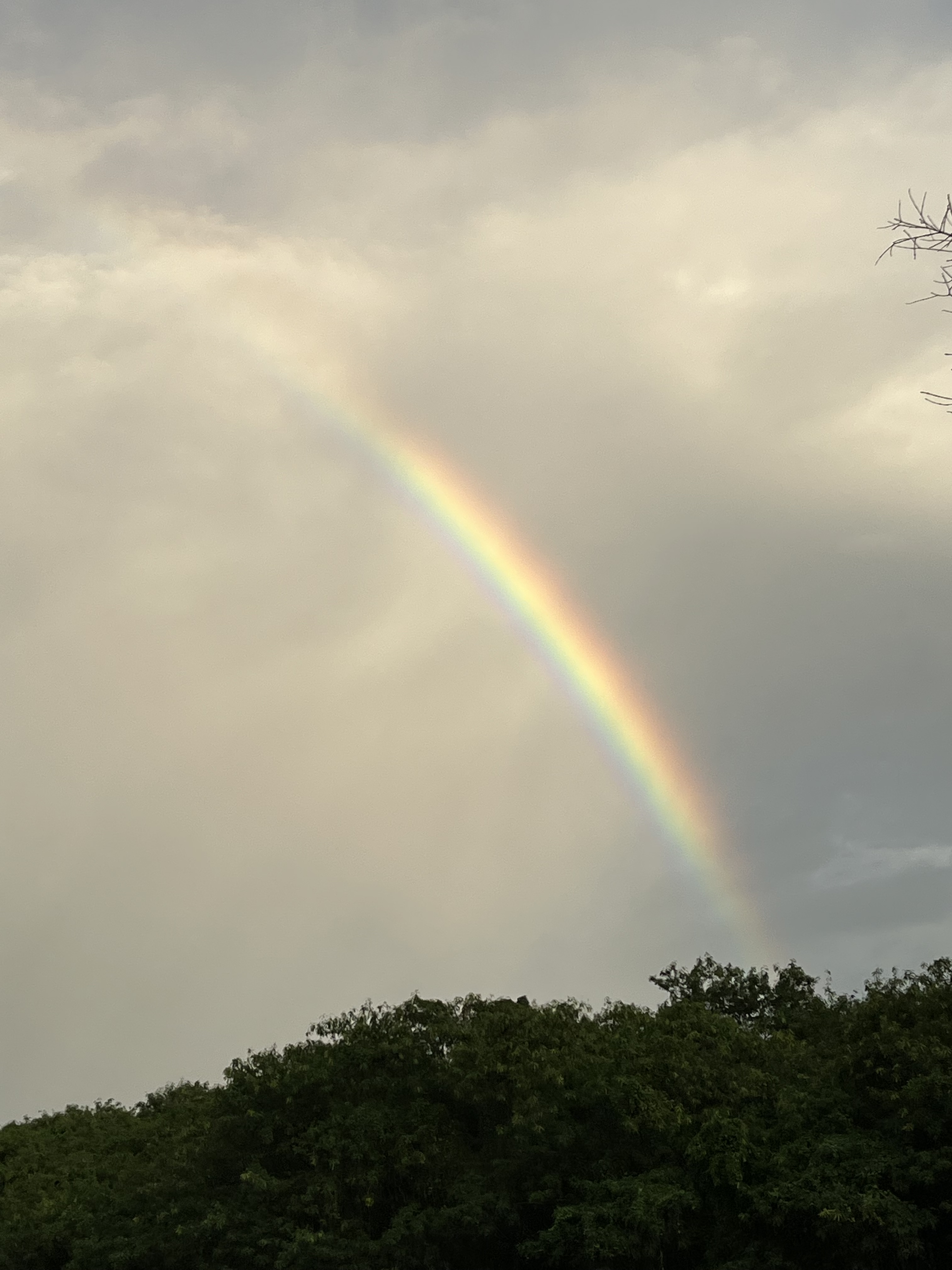 Dancing in the Rain… – Borderless