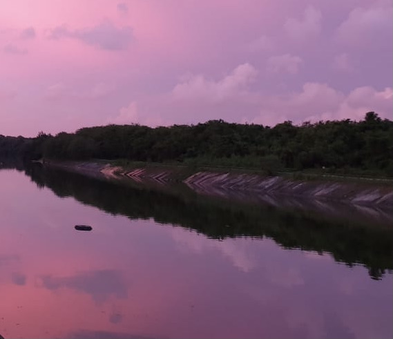 Unconcealment & Ulterior by Jared Carter – Borderless