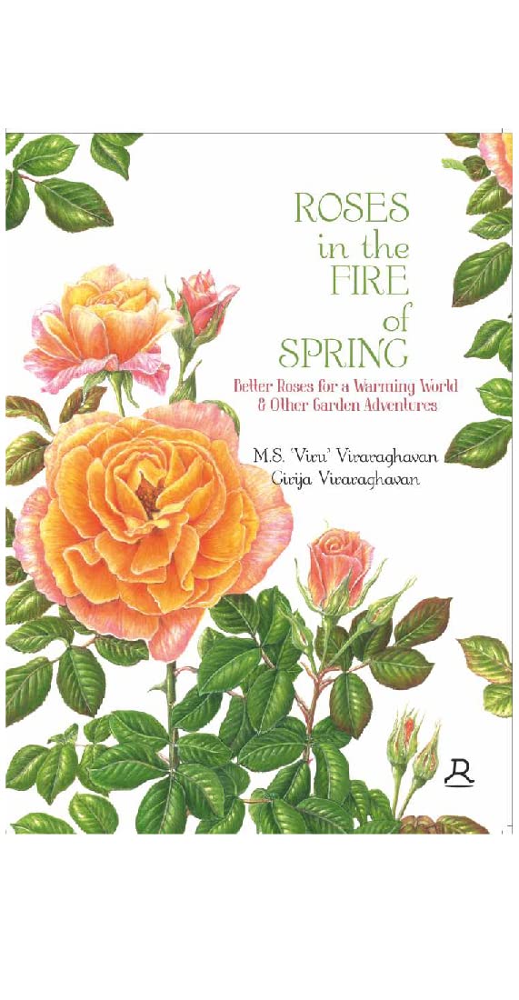 Roses in the Fire of Spring – Borderless