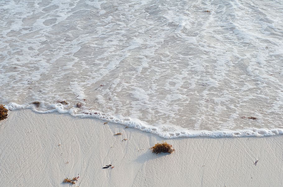 Nature Poems by Jared Carter – Borderless