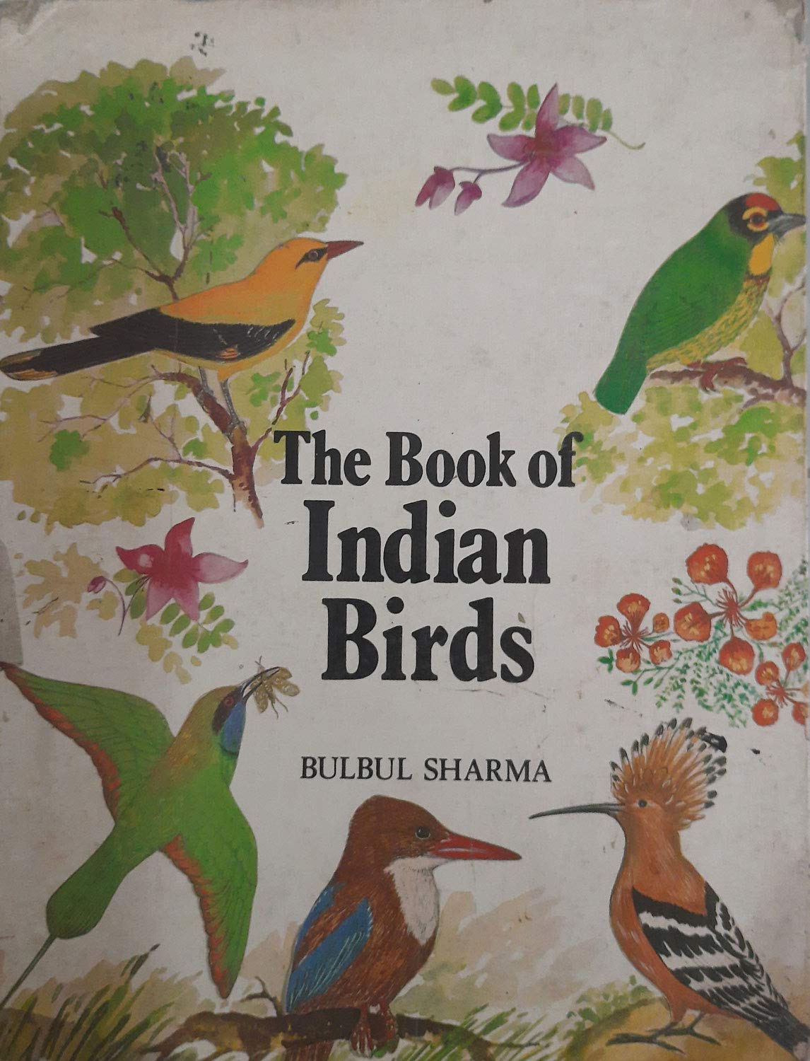 Interviewing Bulbul: Remembering Mrinal Sen… – Borderless