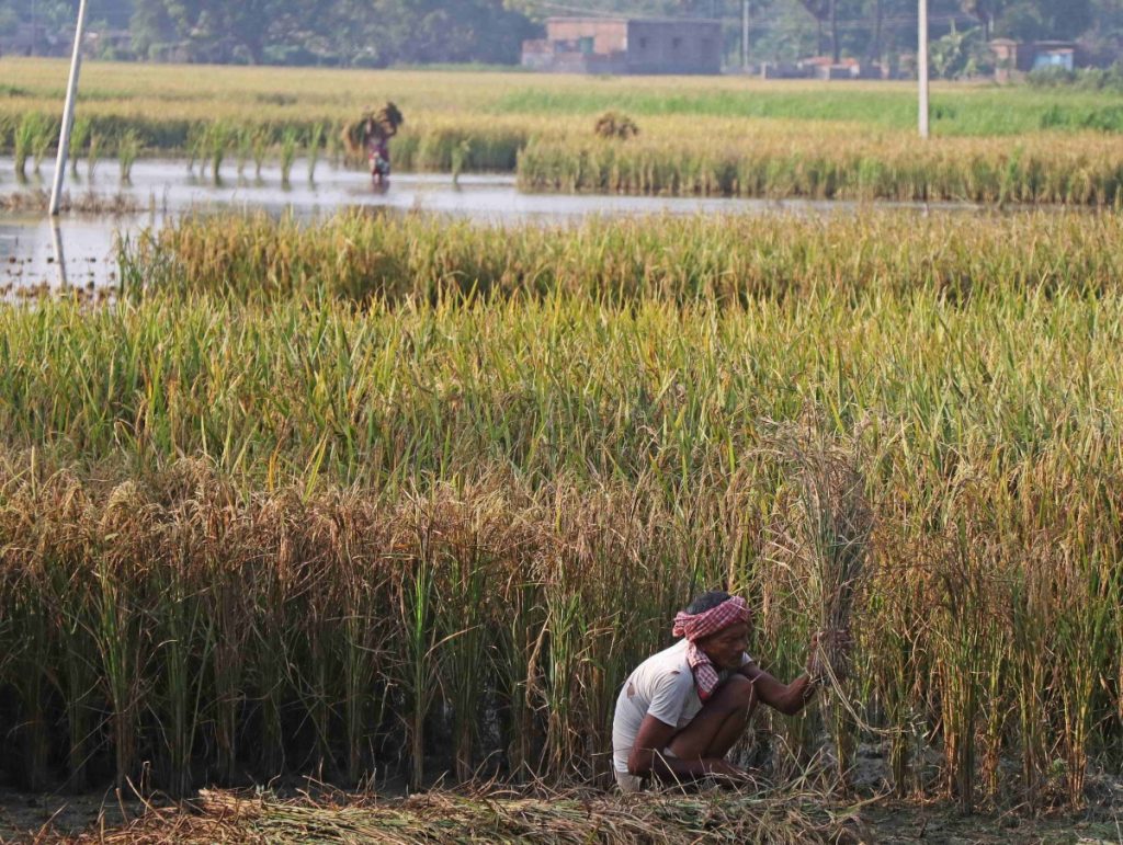 Pigeons & People – Borderless