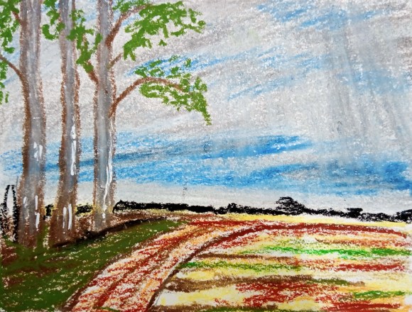 Borderless, June 2024 – Borderless