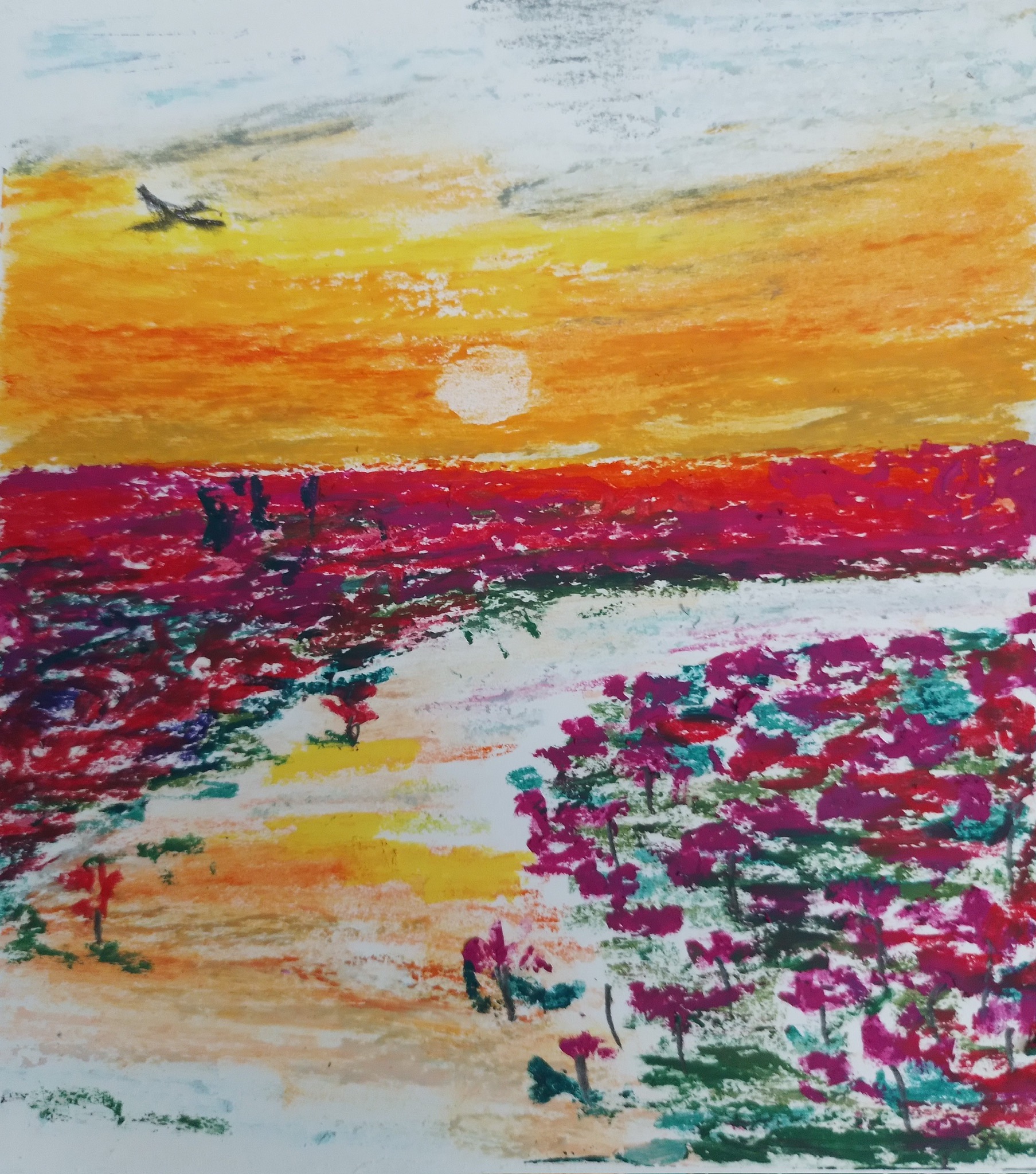 Borderless, October 2024 – Borderless