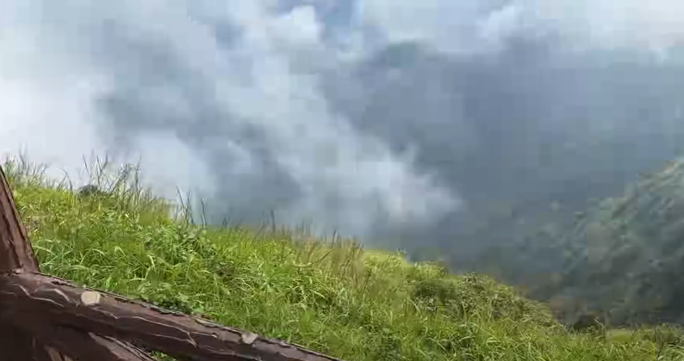 Pinecones and Pinky Promises – Borderless