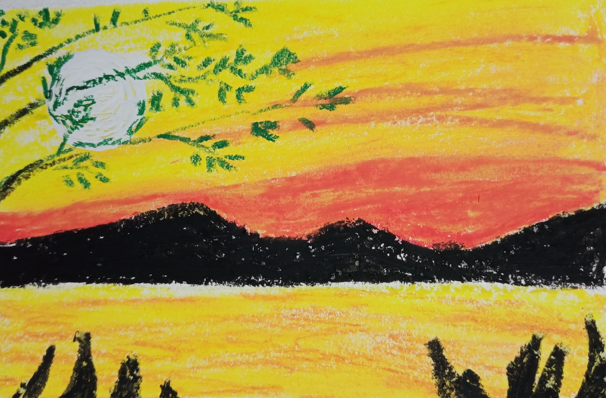 Borderless, November 2024 – Borderless