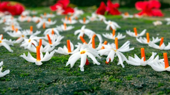 Poetry of Jibananda Das – Borderless