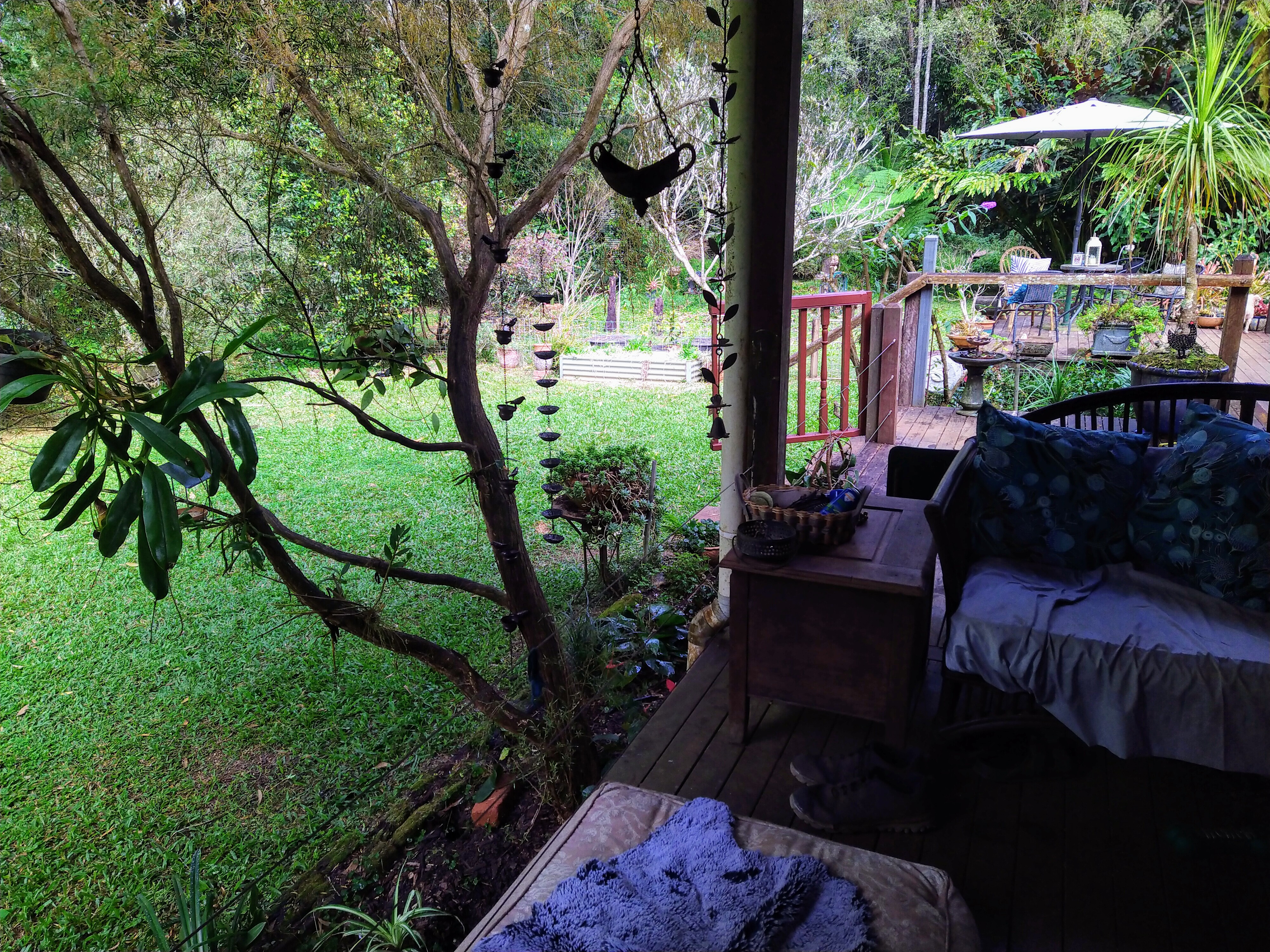 Prose Poems by Lizzie Packer – Borderless