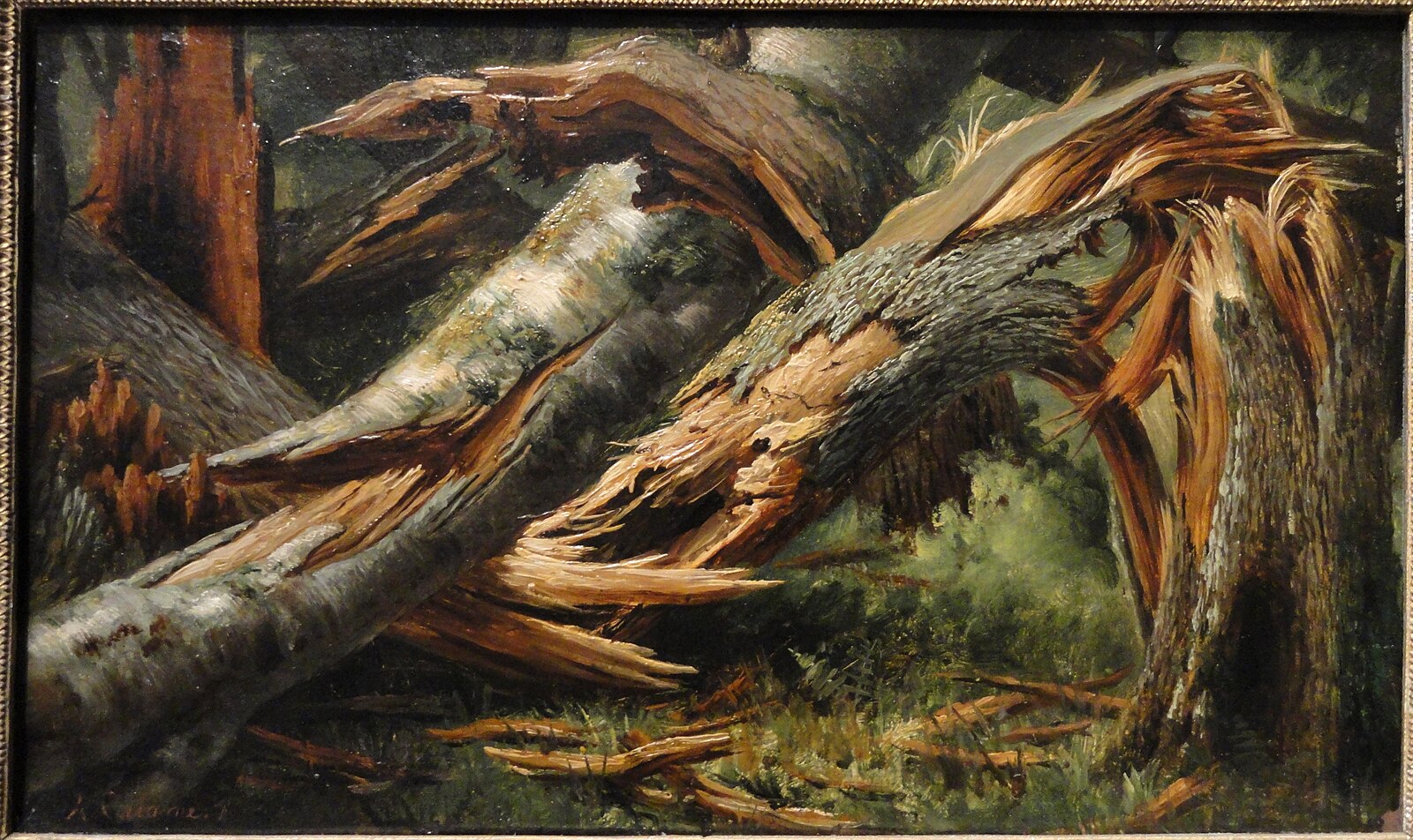 Seasonal Poems by John Grey – Borderless