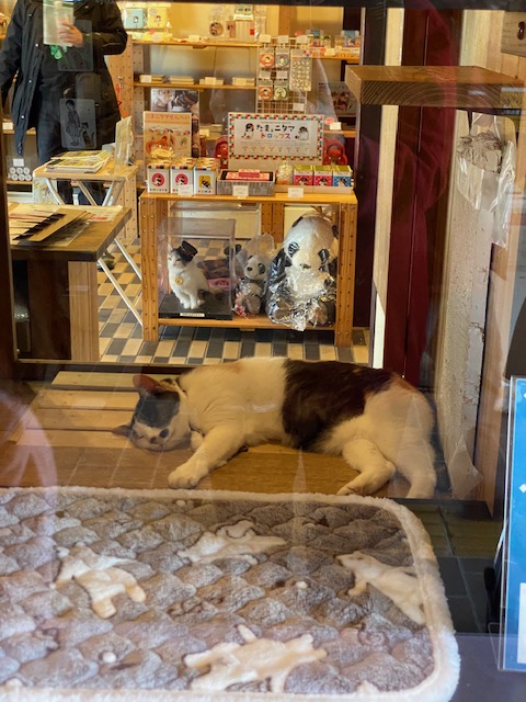 The Cat Stationmaster of Kishi – Borderless